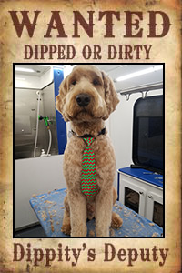 Dippity Dog | Mobile Dog Salon | Huntington Beach, Newport Mesa ...